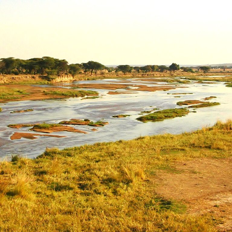 Safari in Tanzania in Ruaha National Park