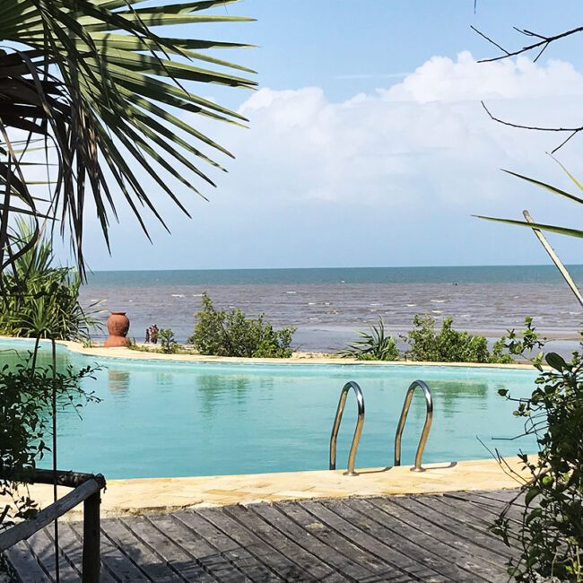 Safari en Tanzanie dans le Parc national de Saadani